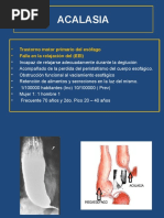 Signo de Mickey Mouse | PDF | Vena | Ultrasonido médico