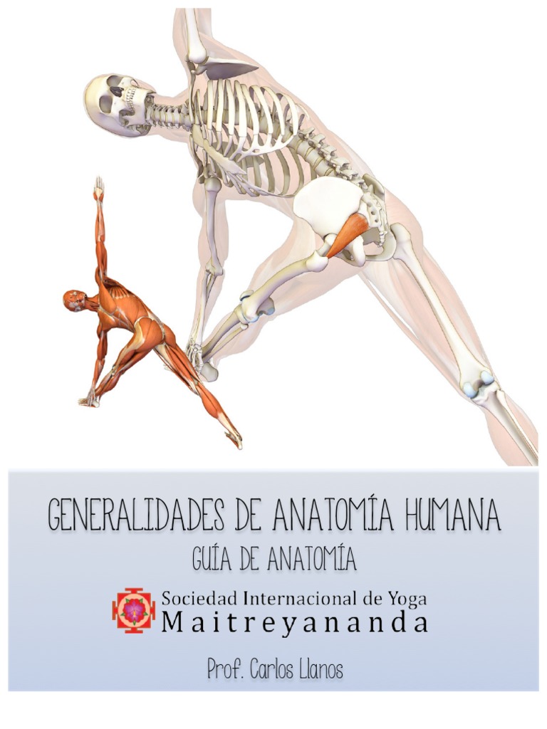 Guía Generalidades Anatomia | PDF | Cuerpo humano | Articulación