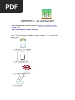 Proyecto de Germinación para Niños | PDF | Plantas | Semilla