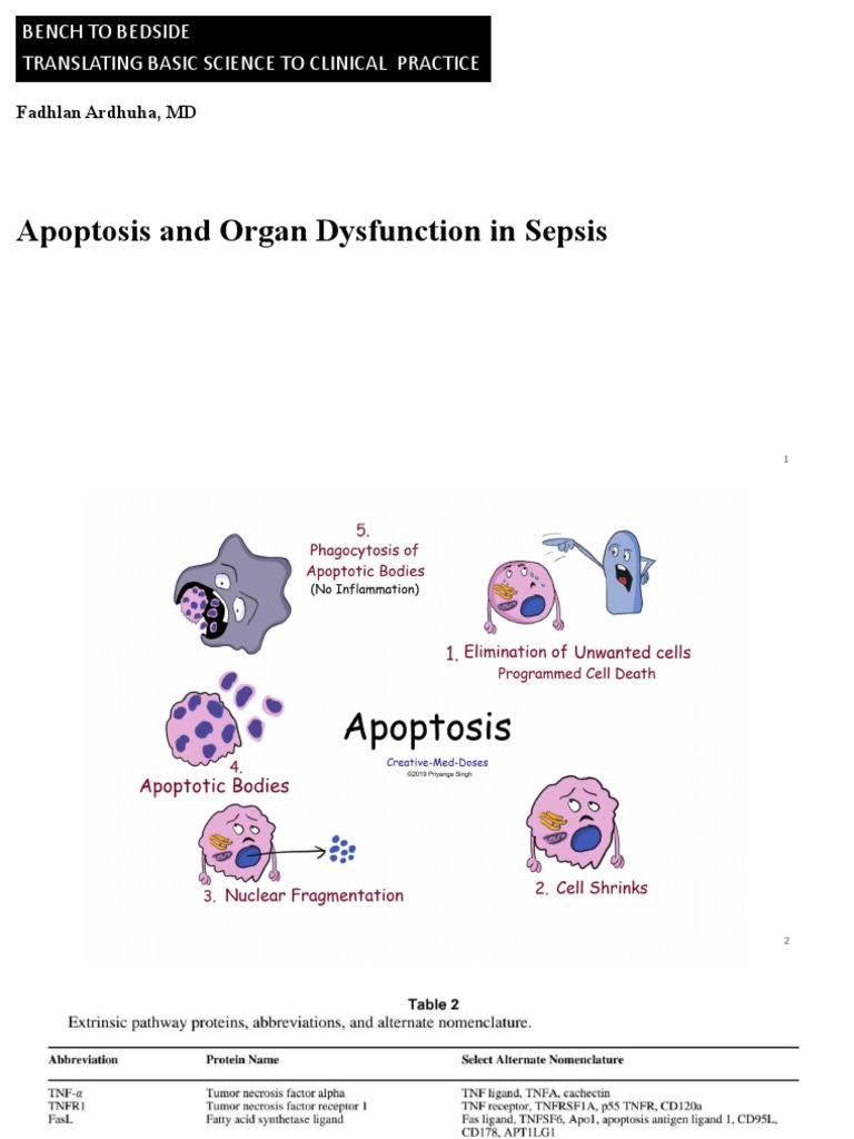Organ Dysfunction in Sepsis | PDF | Sepsis | Blood Vessel