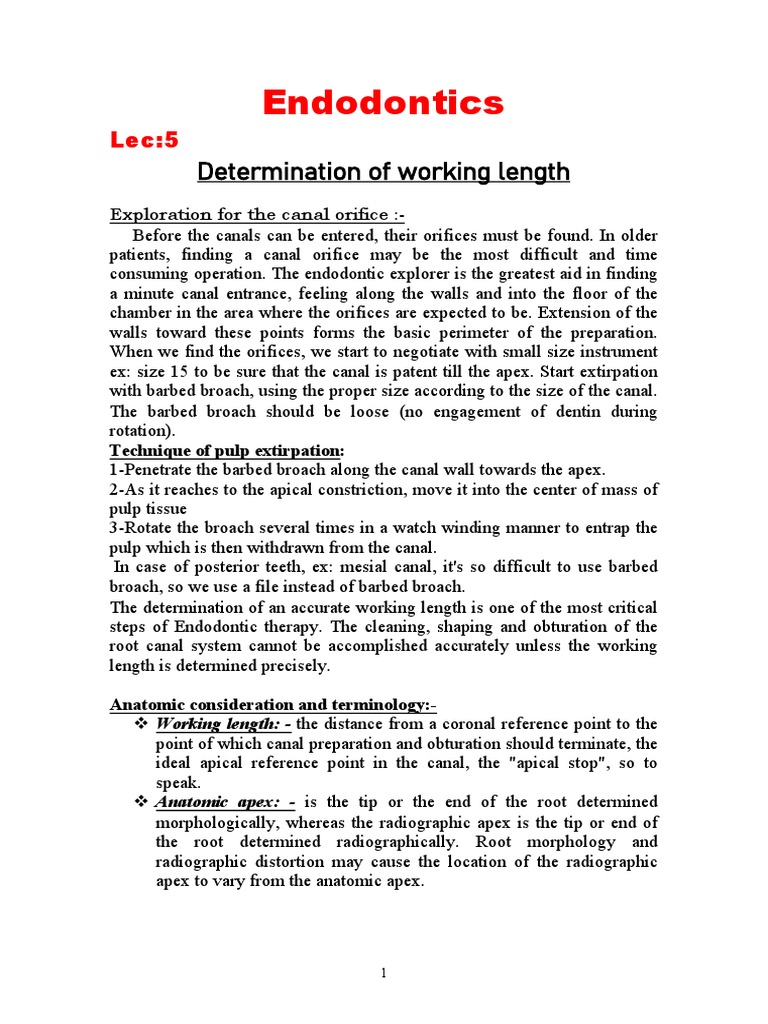 Working Length in Endodontics Explained | PDF | Mouth | Dentistry