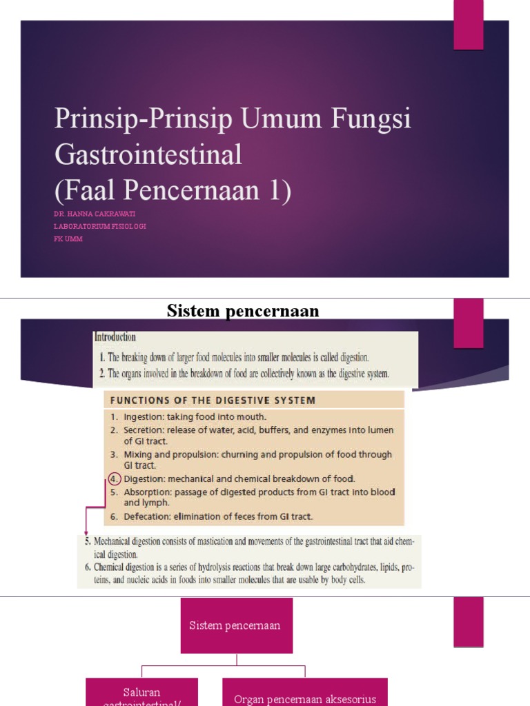 Prinsip-Prinsip Umum Fungsi Gastrointestinal FK 2019 | PDF