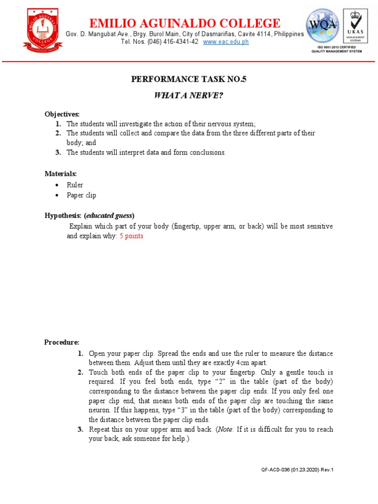 Performance Task 5 | PDF | Neuroscience | Nervous System