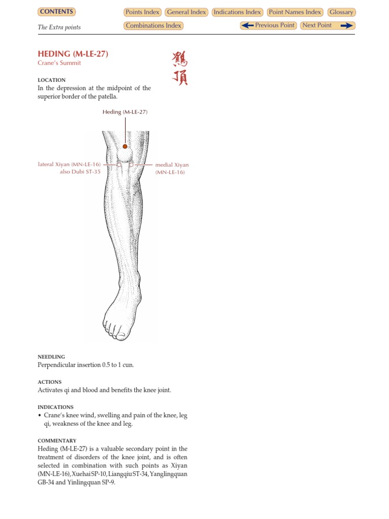 Heding Acupuncture Point Overview | PDF | Knee | Joints