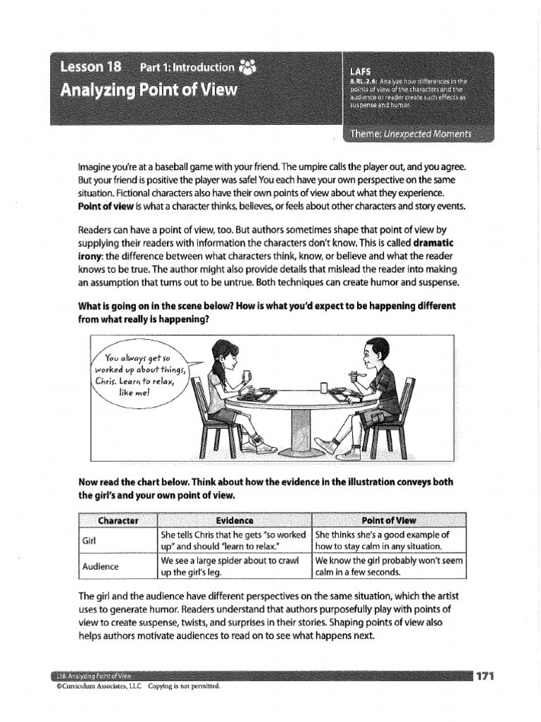 Analyzing Point of View | PDF