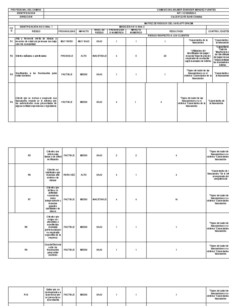 Matriz de Riesgos | PDF | Finanzas internacionales | Mercado de divisas