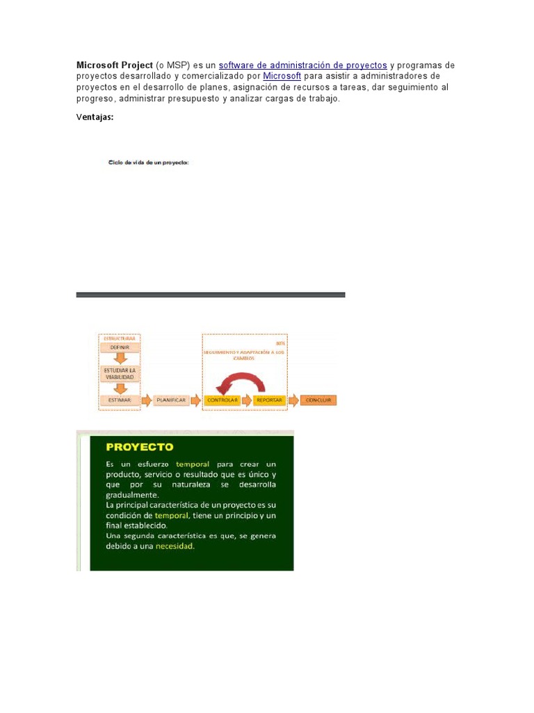 Microsoft Project | PDF