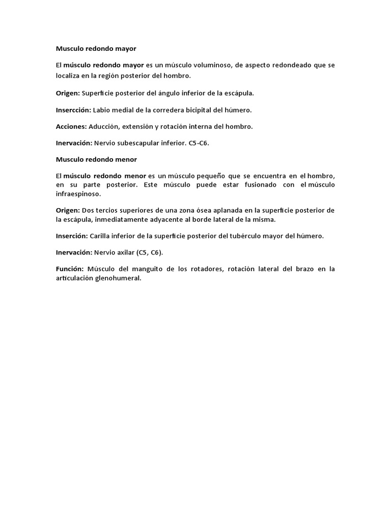 Musculo Redondo Mayor | PDF