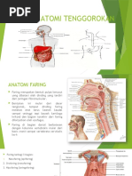 Anatomi Lengkap Esofagus | PDF