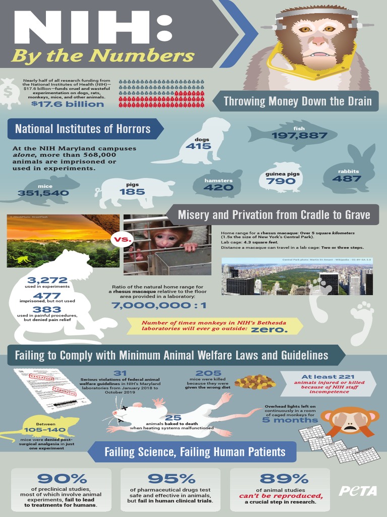 Infographic NIH by The Numbers Final Peta | PDF | National Institutes ...