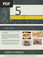 Evolution Evidence of Answer Key | PDF | Homology (Biology) | Evolution