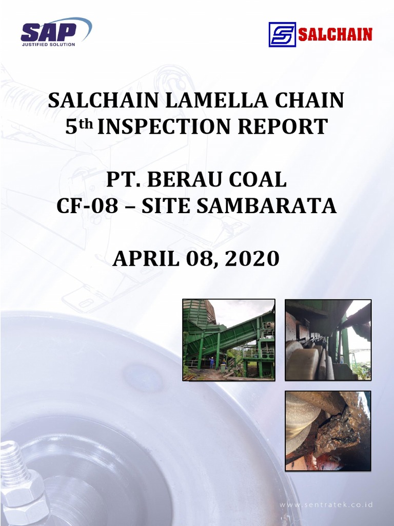 Lamella Chain Inspection Report | PDF | Technology & Engineering