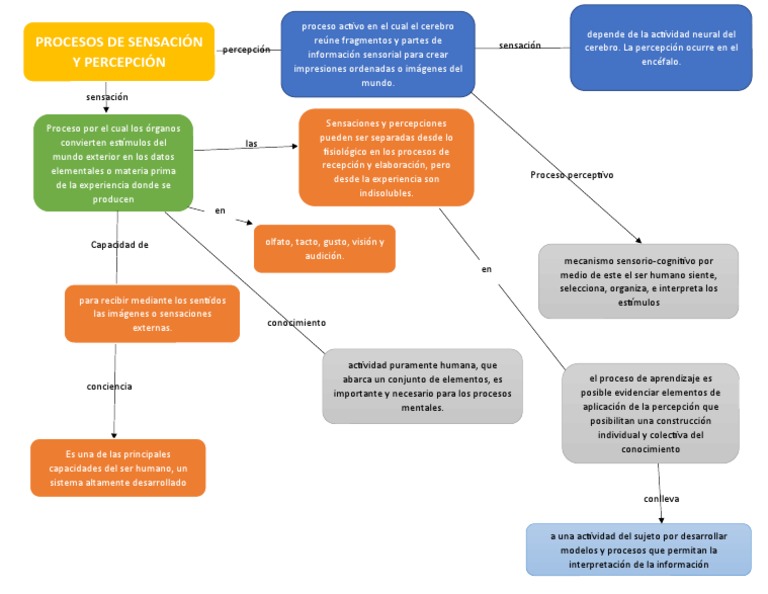 Mapa Mental Percepcion | PDF | Sentidos | Percepción