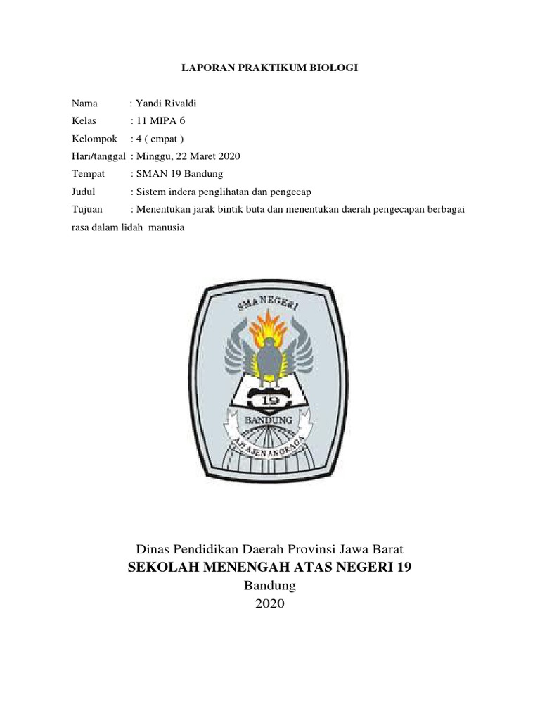 Sistem Sensorik Manusia | PDF