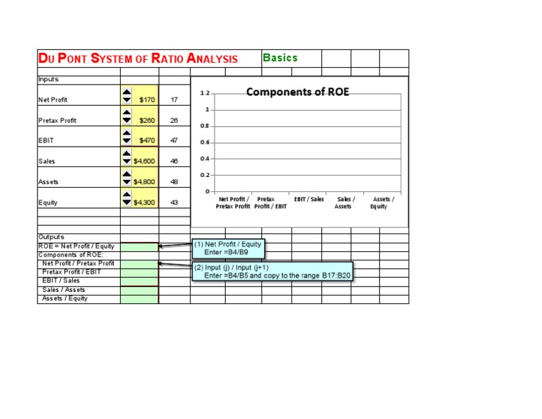 CH 18 DuPont System of Ratio Analysis - Ready-To-Build | PDF