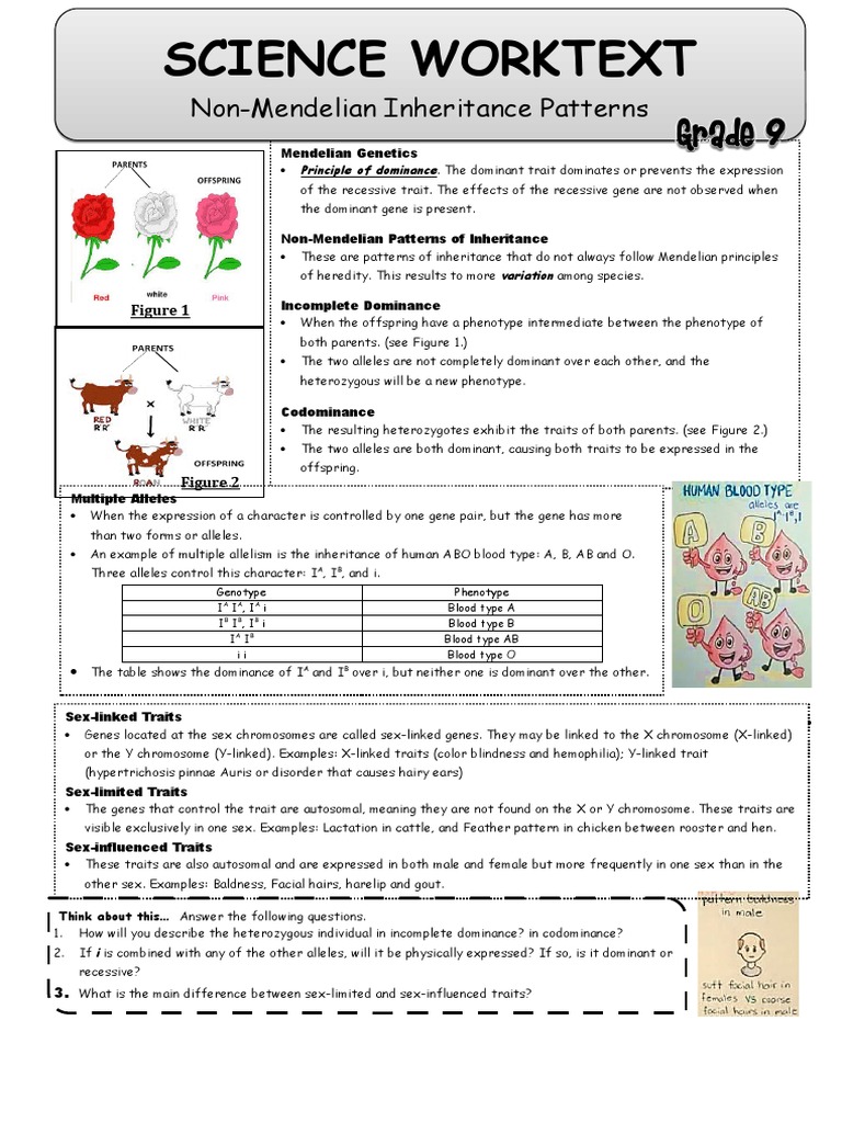 Non-Mendelian Inheritance Patterns | PDF | Phenotypic Trait | Dominance ...