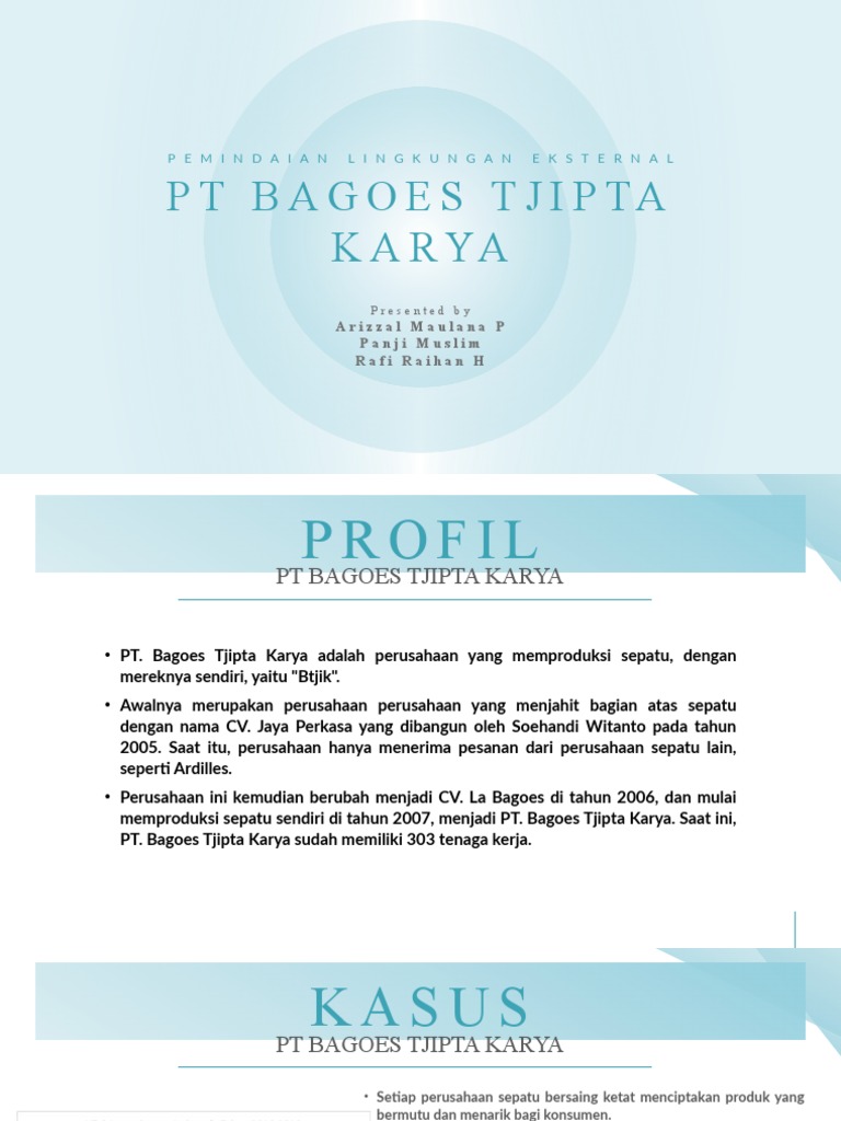 Strategi Pemasaran PT Bagoes Tjipta | PDF