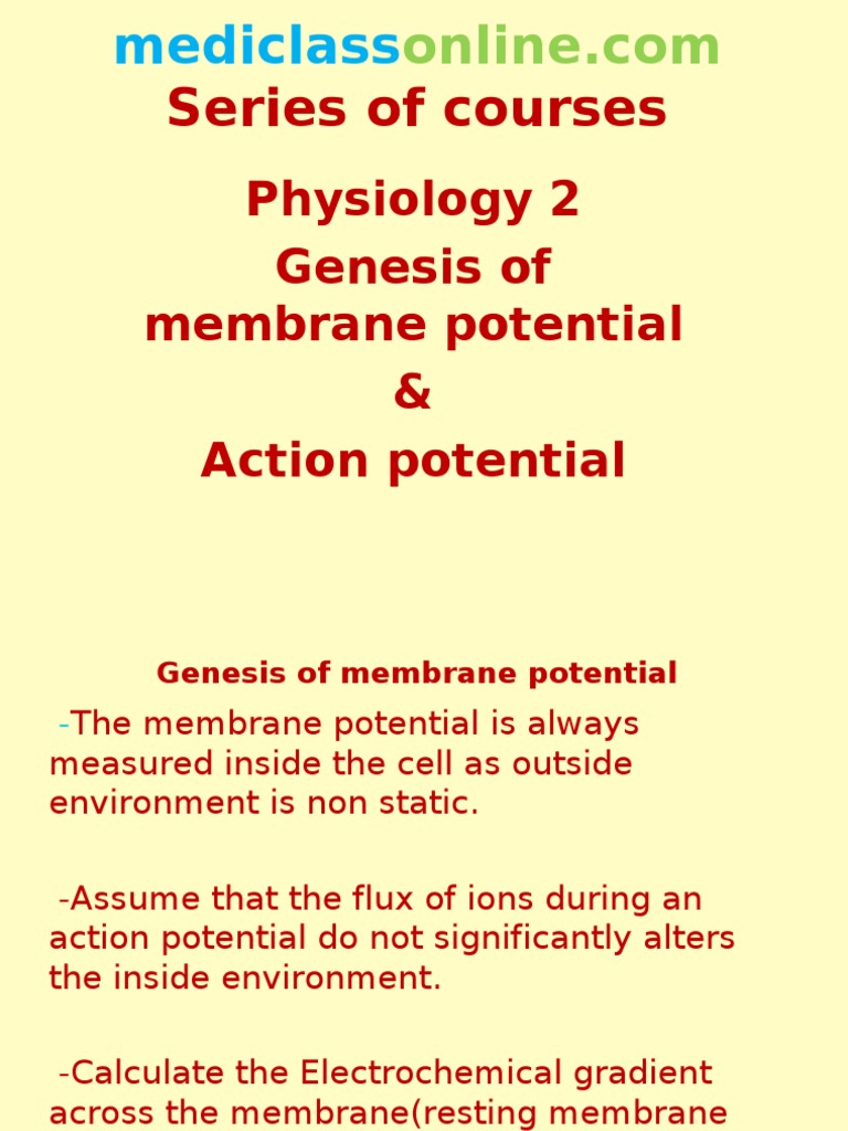 Physiology 2 Membrane Potential | PDF | Membrane Potential | Depolarization