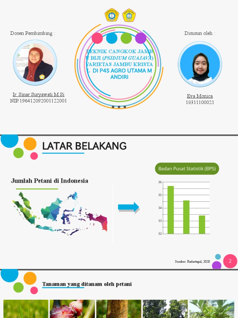 Presentasi Eva Monica | PDF