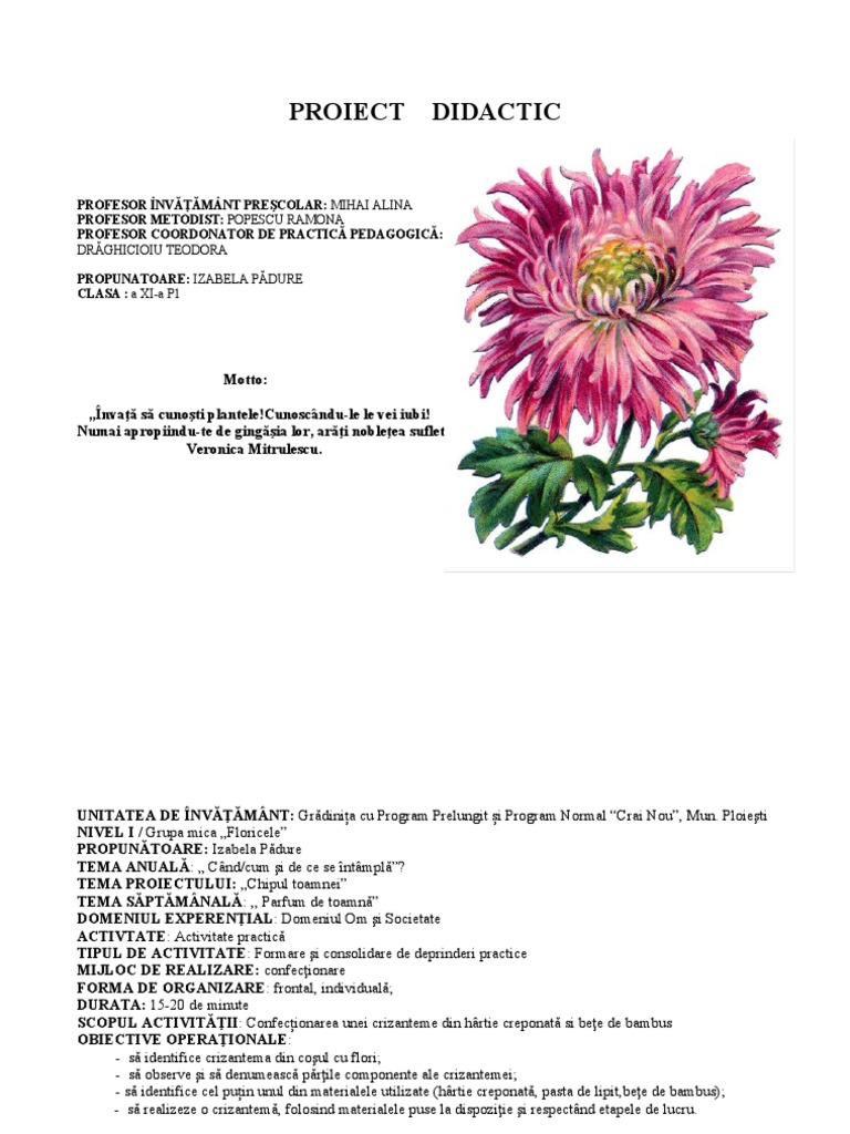 Crizantema - Proiect Didactic-Final | PDF