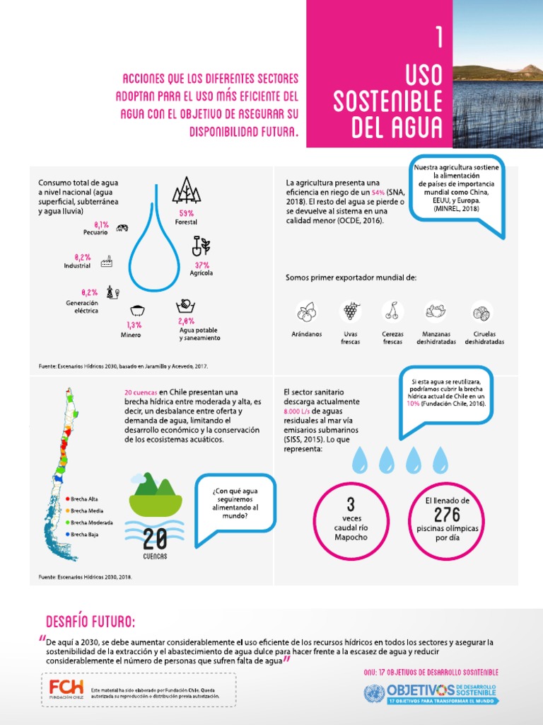 Infografía Agua Chile | PDF