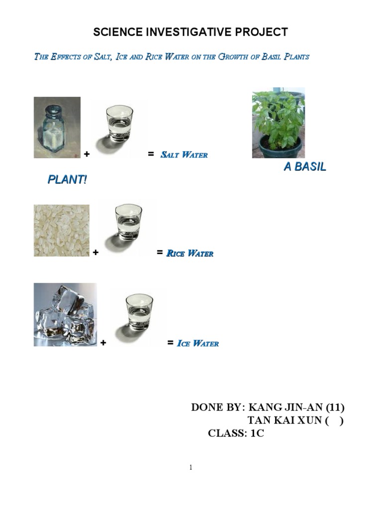 Science Investigative Project: A Basil Plant! | PDF | Seawater | Chemistry