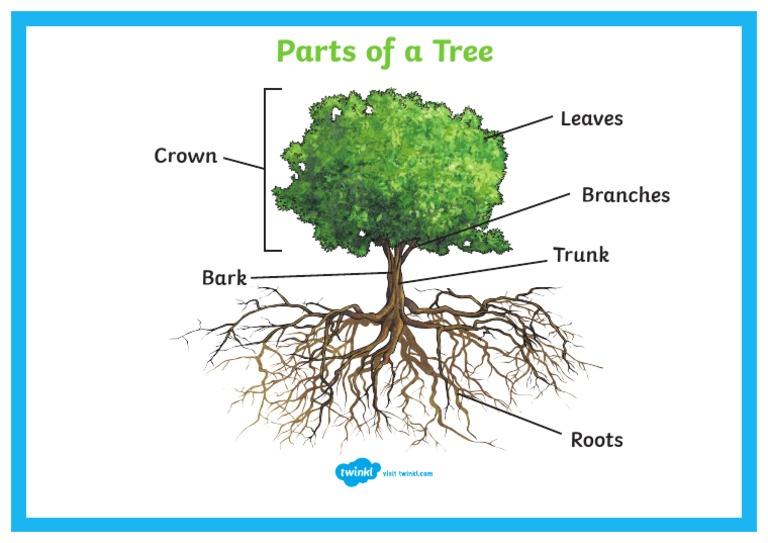 t2 T 846 Parts of A Tree Poster | PDF