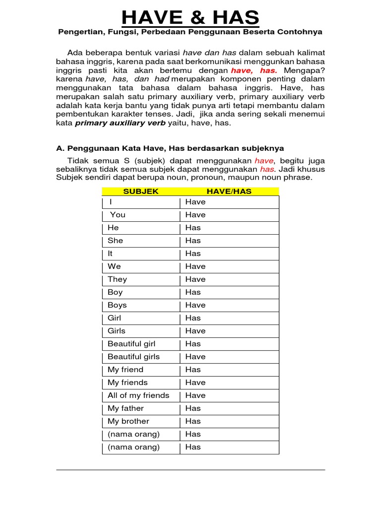 Materi HAVE Dan HAS | PDF