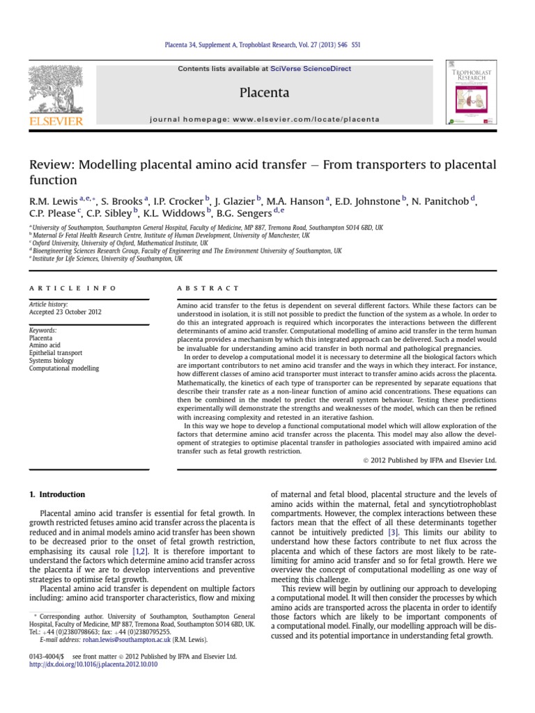 Review Modelling Placental Amino Acid Transfer From Transporters To ...