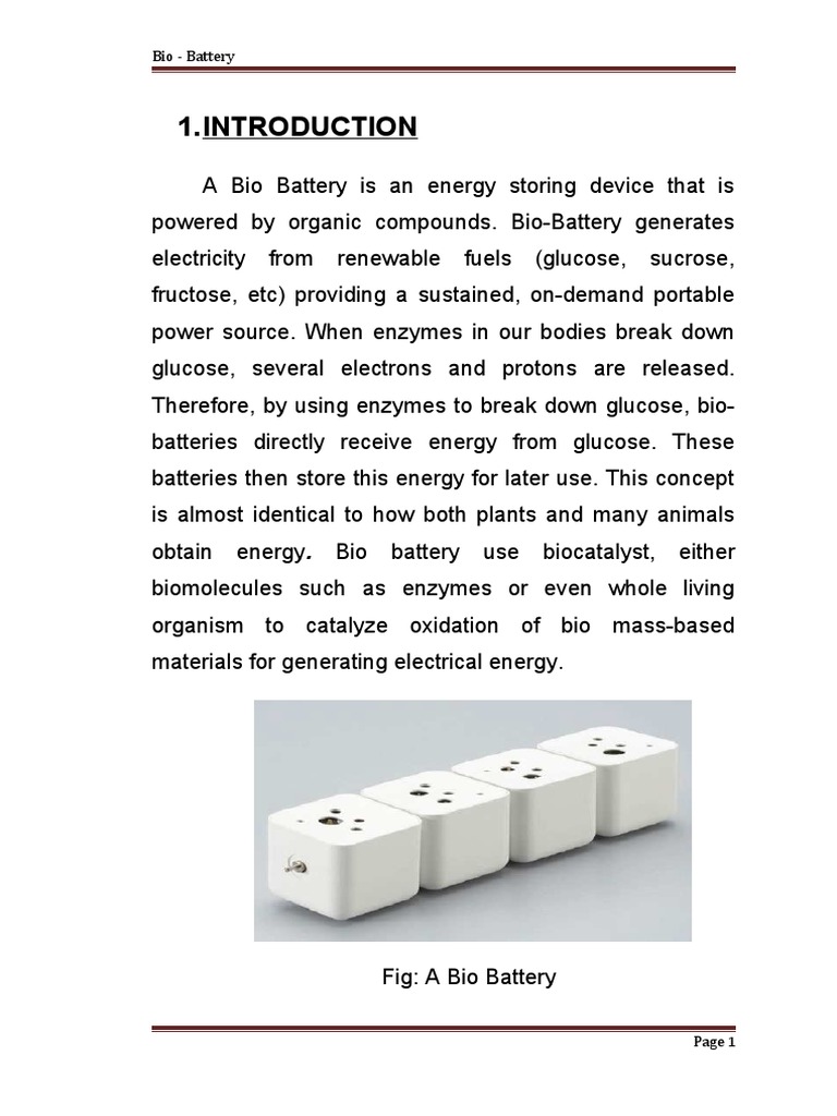 Bio Battery | PDF | Cathode | Anode