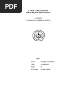 LAPORAN PRAKTIKUM Sterilisasi | PDF | Sains & Matematika