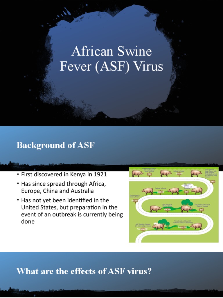 Asf Presentation | PDF