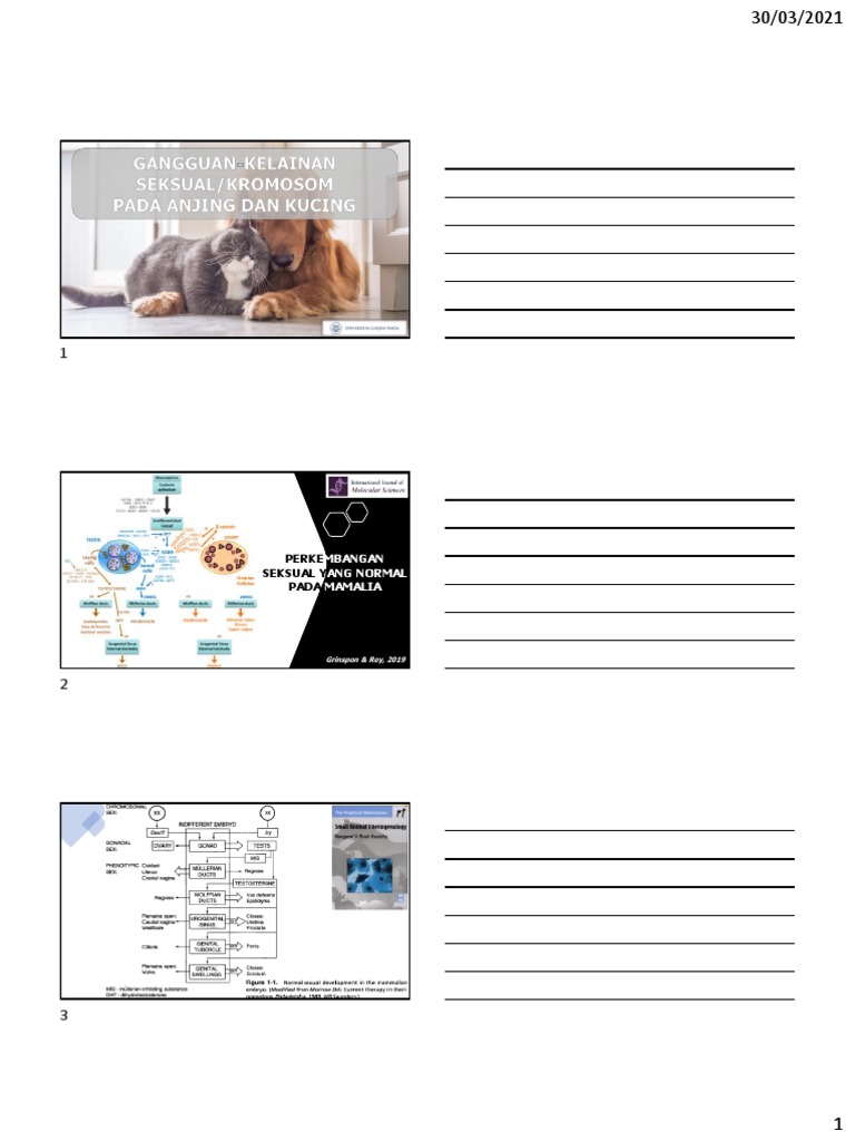 Gangguan Seksual-Kromosom Pada Anjing Dan Kucing | PDF | Sains & Matematika