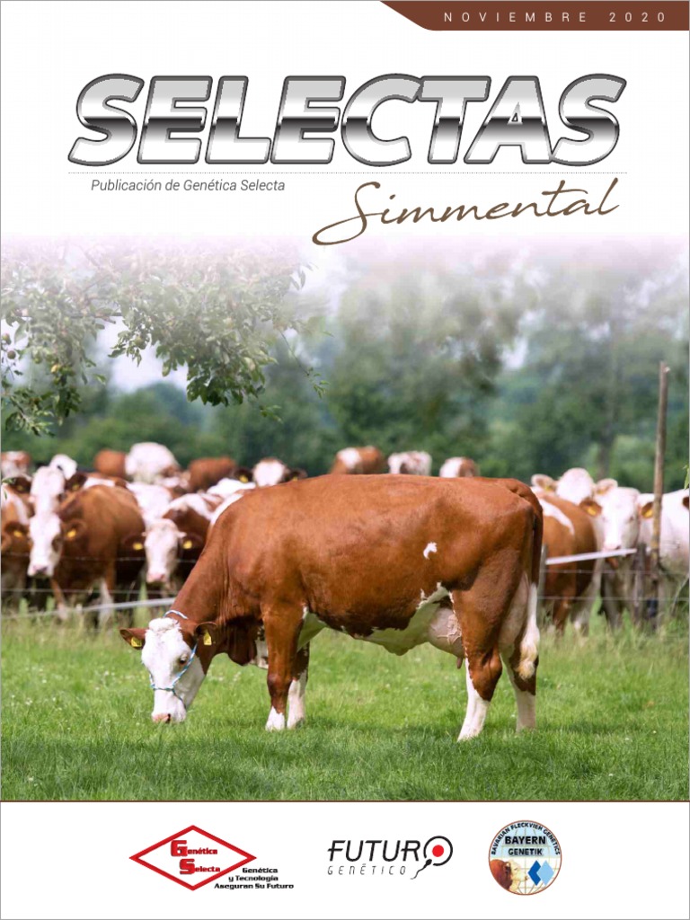 Catalogo Simmental 2020 | PDF | Mamíferos | Ganado