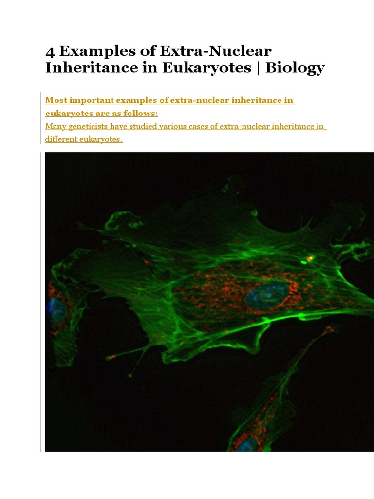 Extranuclear Inheritance-Examples | PDF | Chloroplast | Gene