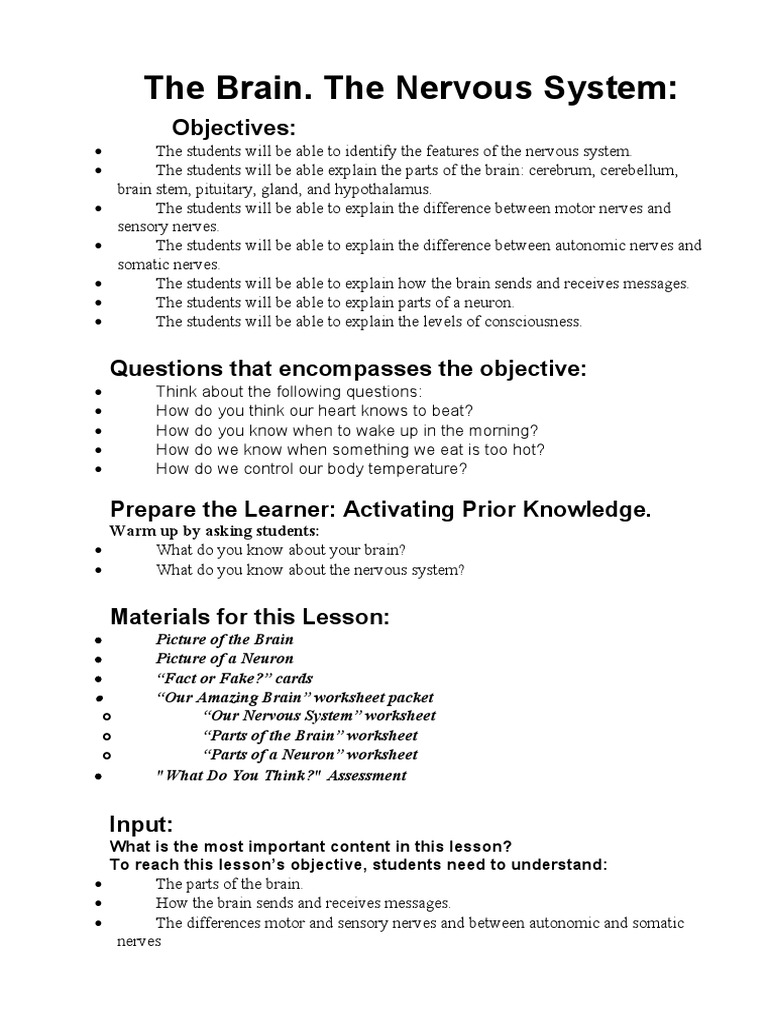 The Brain. The Nervous System | PDF | Nervous System | Neuron