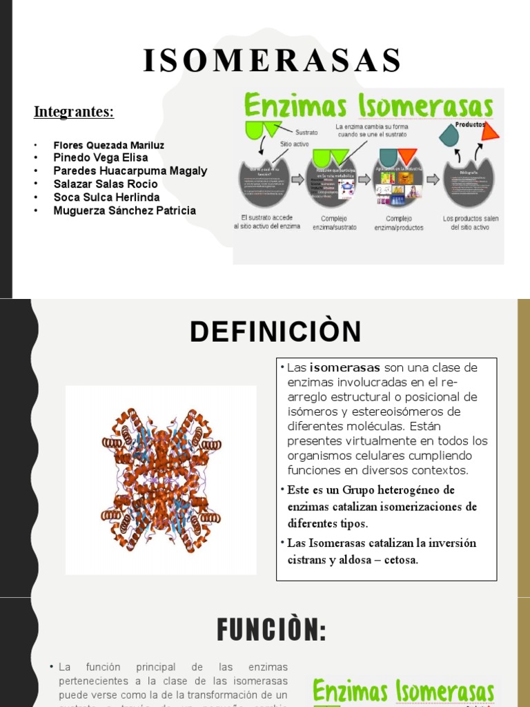Isomerasas: Función y Subclases Enzimáticas | PDF | Enzima | Metabolismo