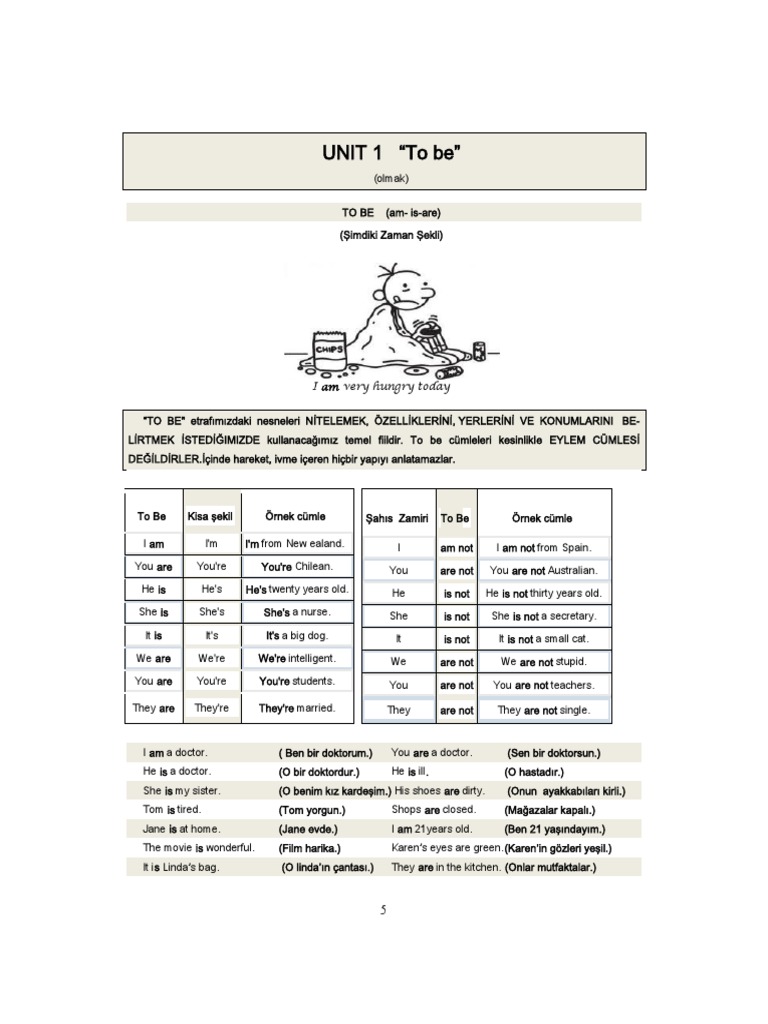 UNIT 1 "To Be": I Am Very Hungry Today | PDF | Nature