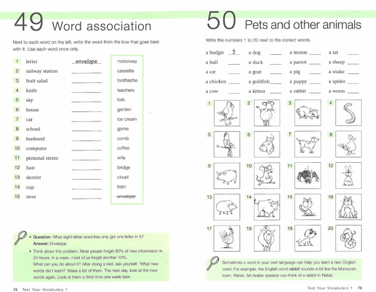 Penguin - Test Your Vocabulary 1 Elementary 41 | PDF