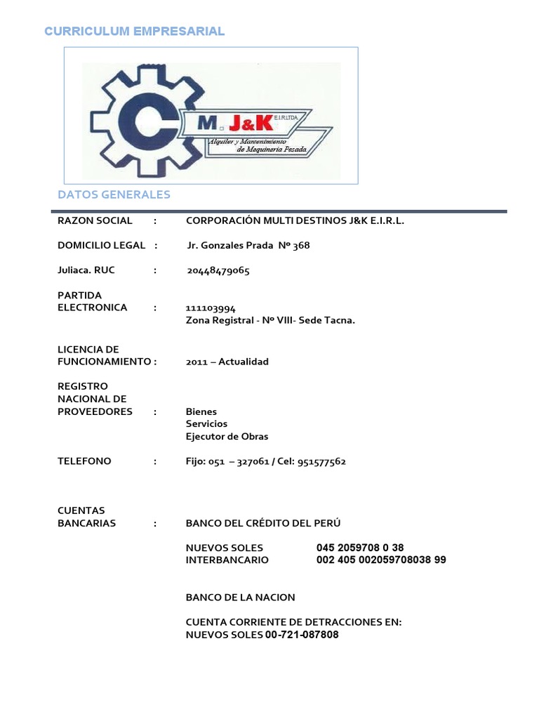CV Empresarial | PDF