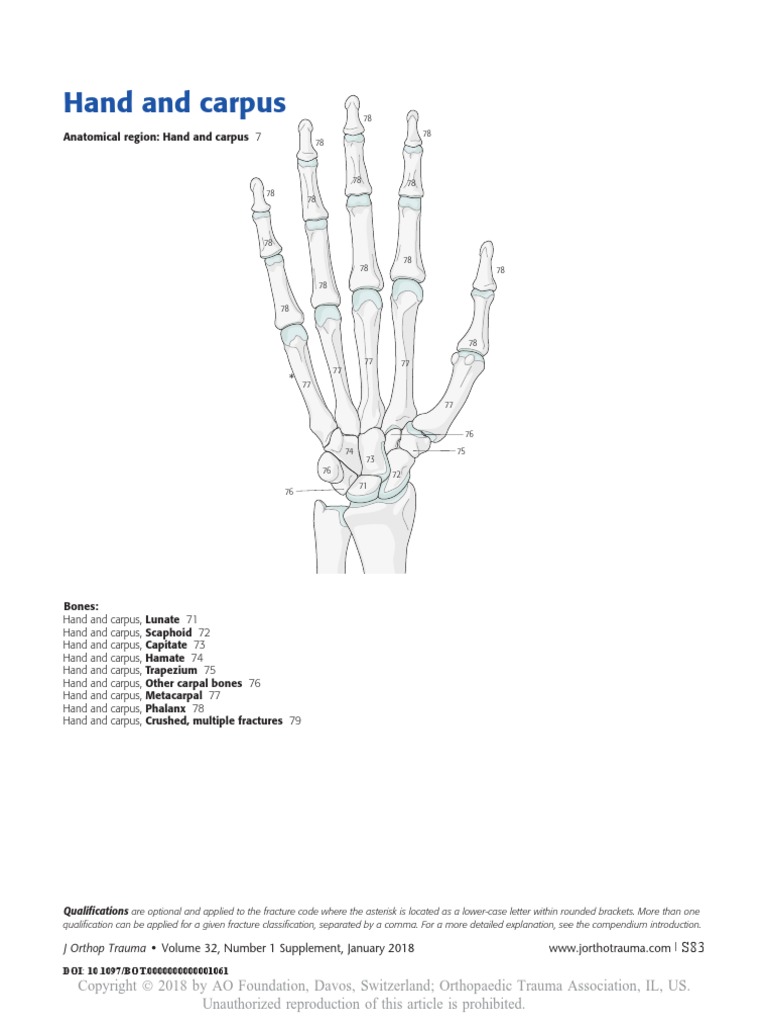 AO Classification 2018 Hand and Carpus | PDF | Hand | Thumb