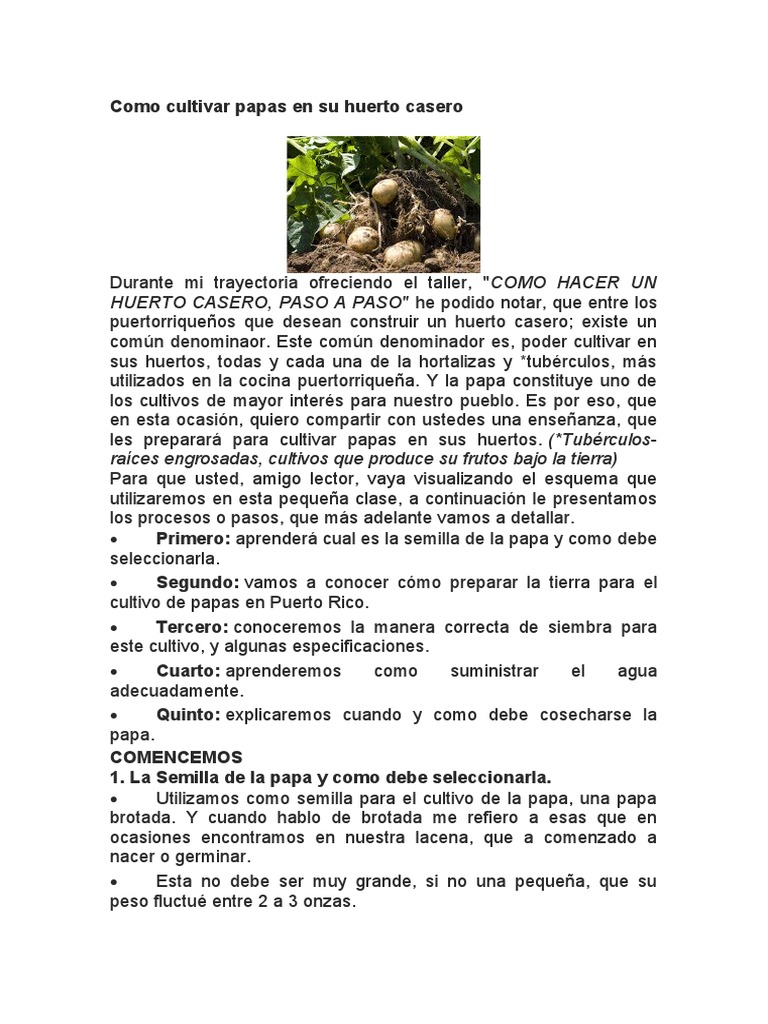 Como Cultivar Papas En Su Huerto Casero Pdf Patata Siembra
