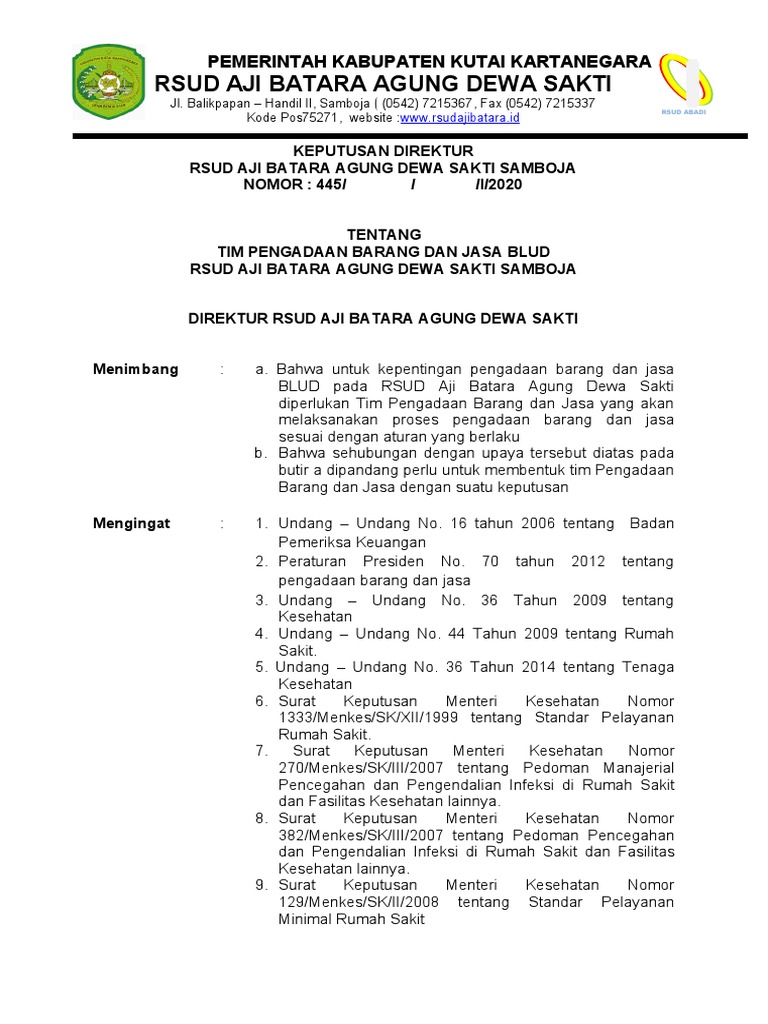 SK Tim Pengadaan Blud | PDF