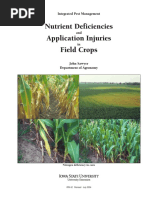 Strawberry Nutrients Deficiency Symptoms | PDF | Plant Nutrition | Leaf