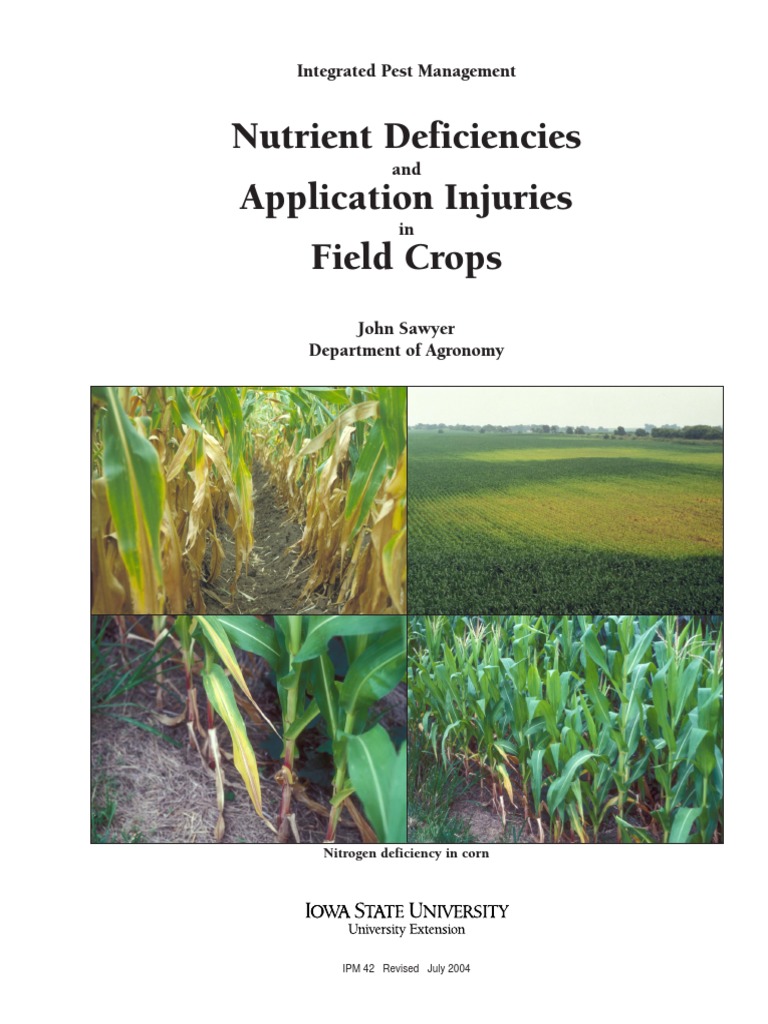 Nutrient deficiencies in corn | PDF | Soil | Urea