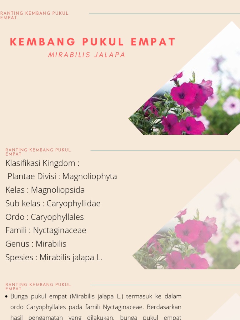 Ranting Bunga Puul Empat | PDF