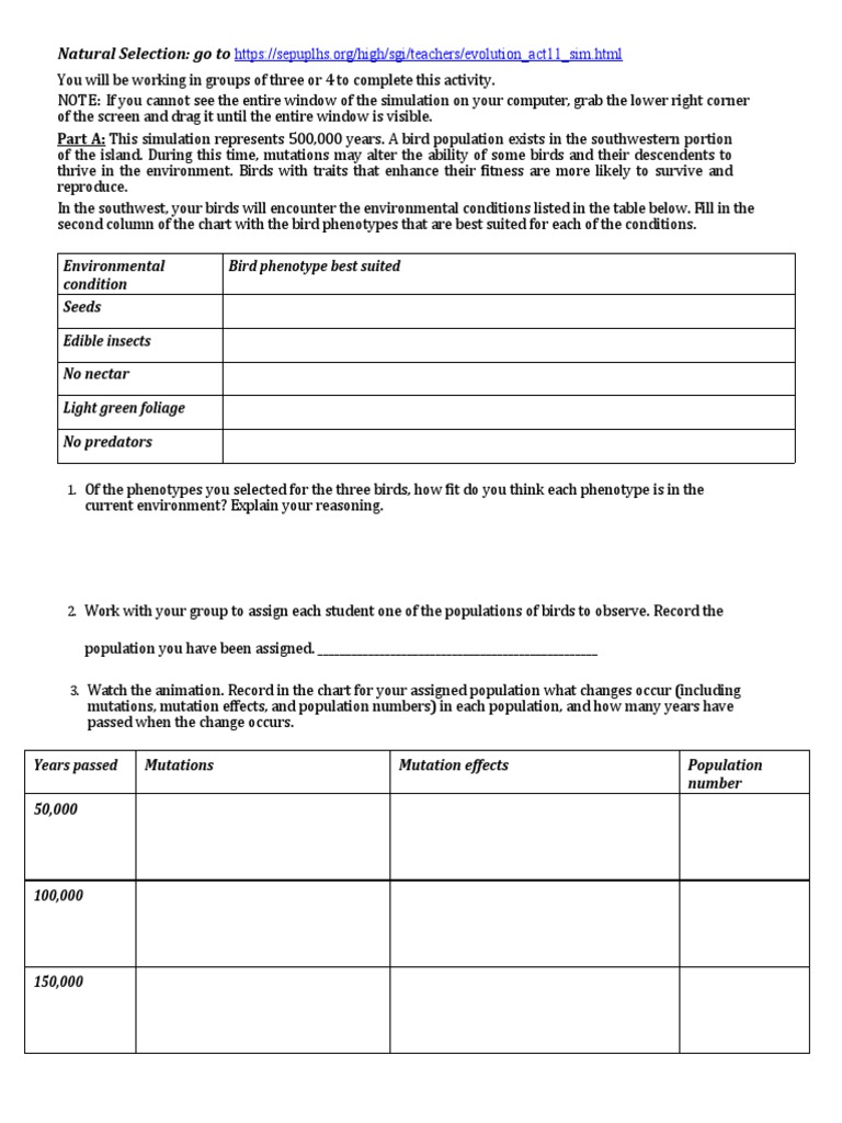 Evolution of Bird Sepup Lab 1819 | PDF | Natural Selection | Phenotype