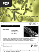 Mat. Estudos - Microbiota Ruminal - Nutrição de Ruminantes | PDF ...
