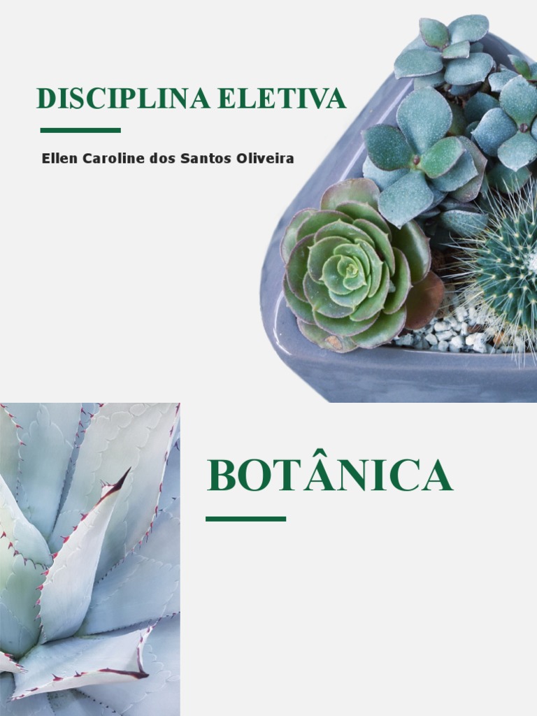 Disciplina Eletiva Botanica 8 A | PDF