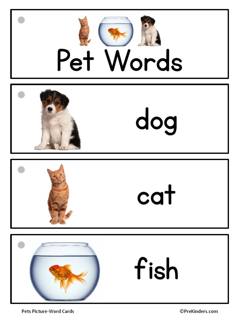 Pet Words Dog Cat Fish: Pets Picture-Word Cards | PDF